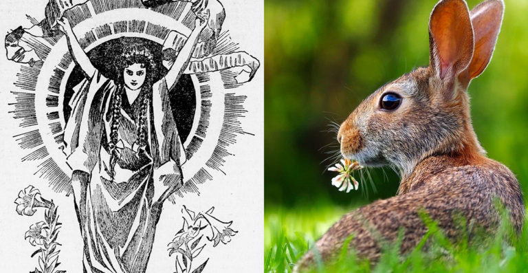 The Pagan Origins of the Easter Bunny - Wackoid